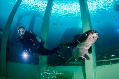 Todi Indoor Duikcentrum België - Lieven