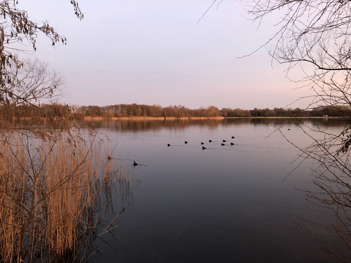 Buitenwaterduik (dinsdagavond): Nionplas in Raamsdonksveer - Lieven