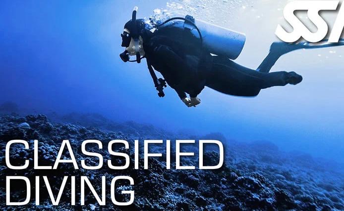 Zwembadtraining (zaterdagavond) Classified buddy’s gezocht! - Lieven